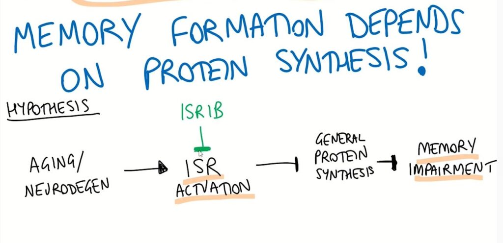 Trans-ISRIB - NutraBiotech